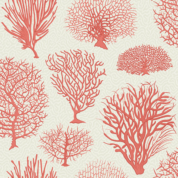 coral patterned wallpaper