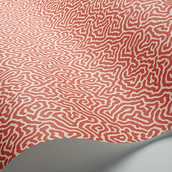 coral patterned wallpaper