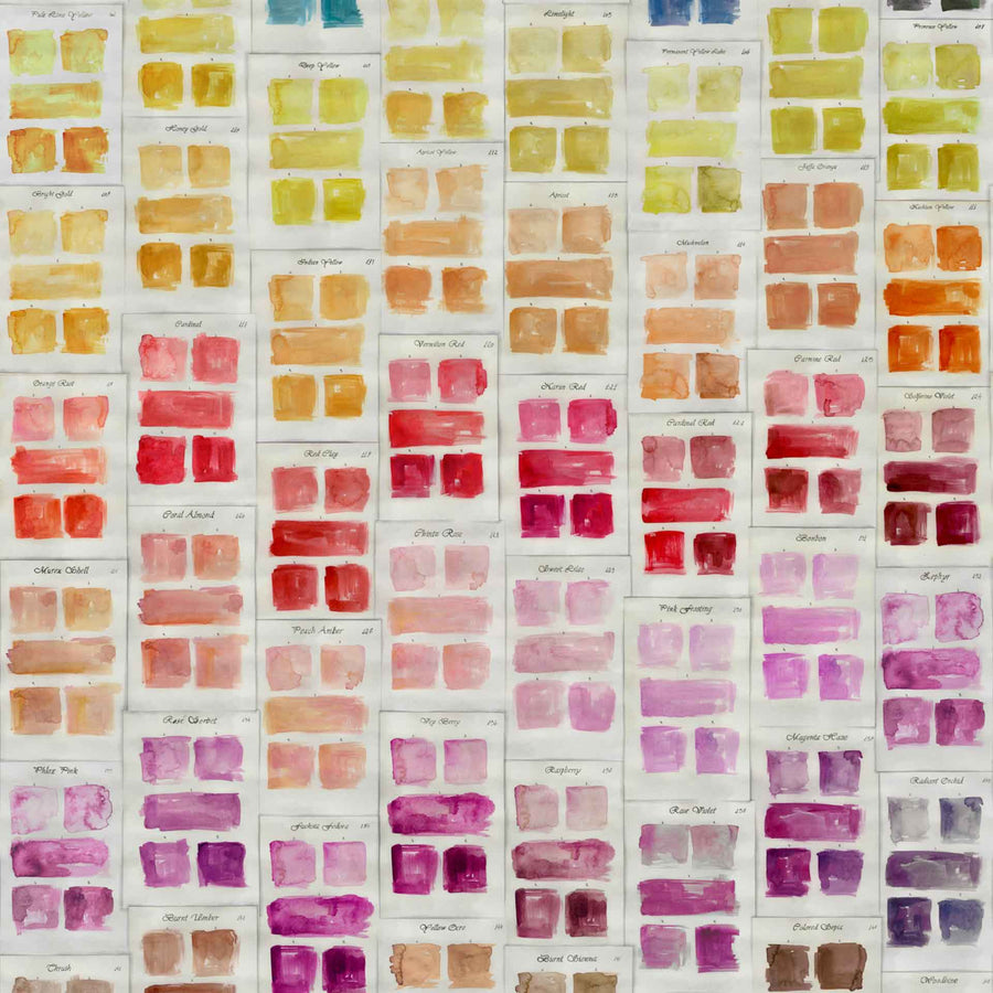 Palette Wallpaper by MIND THE GAP x Minnie Kemp – Vertigo Home